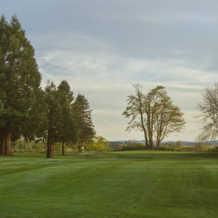 Golf Course - Riverside Golf Club