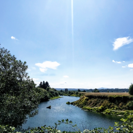 Golf Course - Riverside Golf Club